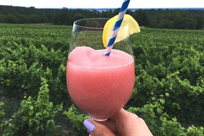 5-Hour Traverse City Wine Tour: 4 Wineries on Old Mission Peninsula - Final Thoughts