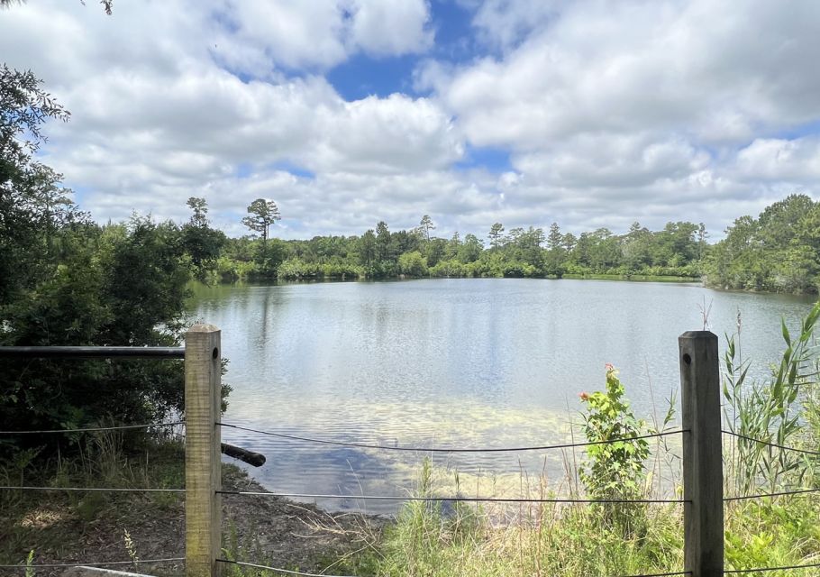 5-Hour Wilmington River to Sea E-Bike Self-Guided Tour - The Experience: Navigating Wilmington’s Scenic Routes