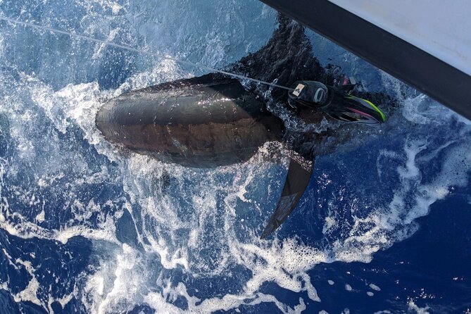 5 Hours Private Fishing Charter in Kailua-Kona - The 5-Hour Itinerary: A Perfect Balance