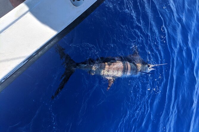 5 Hours Private Fishing Charter in Kailua-Kona - The Value for Money