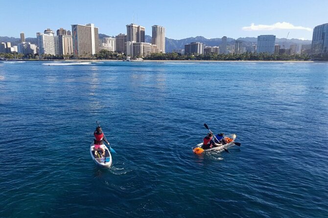 5 in 1 Deluxe Cruise: Turtle Snorkeling, Activities and Pick-Up - An Overview of the Experience