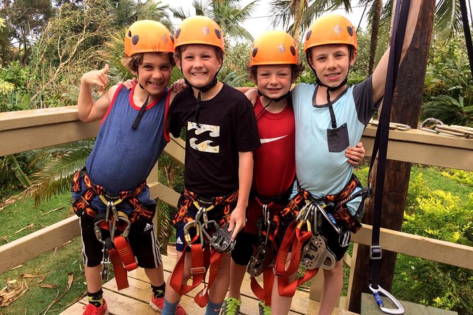 5 Line Jungle Zipline Eco Adventure - What to Expect from the Tour