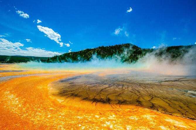 5 Person Full Day PRIVATE Yellowstone Tour- Picnic, Binoculars, Scope, Huge Van - Final Thoughts