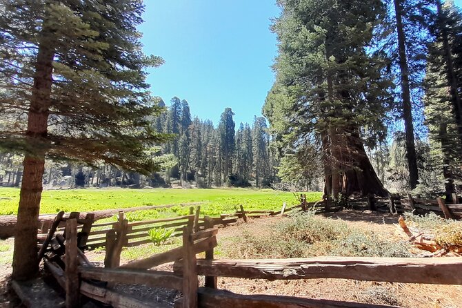 5-Star Rated Sequoia Winter Tour - Key Points