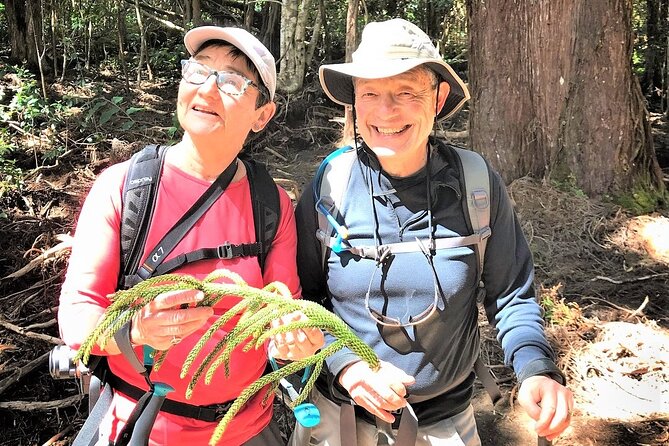 6-7 Hours Private Kauai's Hidden Gems Experience with Snacks - Transportation and Duration