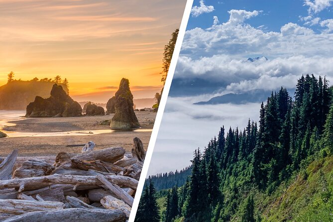 6-Day Backpacking Summer Camp Adventure in Olympic National Park - An In-Depth Look at the Itinerary