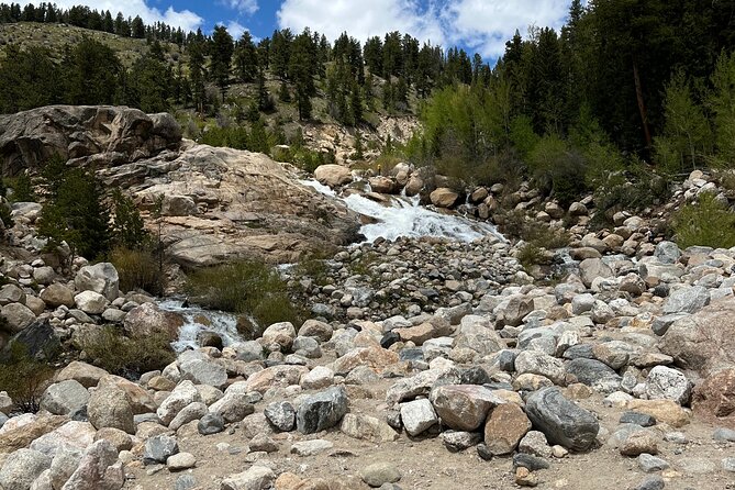 6 Day Tour: Grand Teton, Yellowstone, Rocky Mountain, and Colorado Hot Spring - Final Thoughts