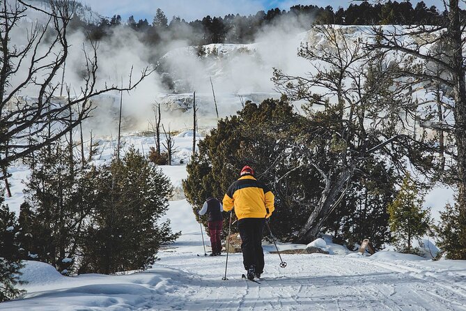 6 Day Winter Wonderland Tour in Yellowstone National Park - Key Points