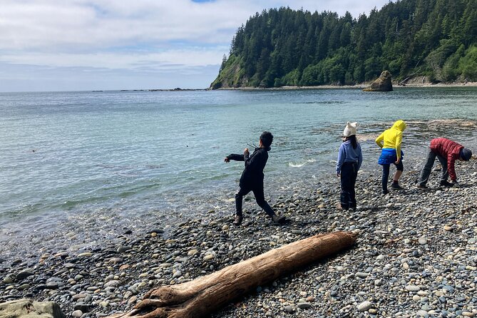 6-Day Young Adventurers Summer Camp in Olympic National Park - Key Points