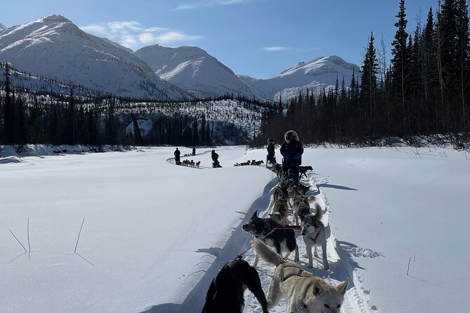 6 Days Brooks Range Expedition Private Tour - What Makes This Tour Valuable