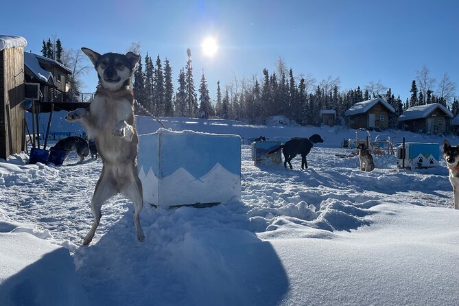 6 Days Brooks Range Expedition Private Tour - Final Thoughts