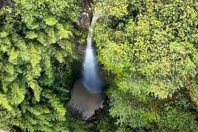 6 Dual-Zipline Mountain Adventure in Maui - FAQ