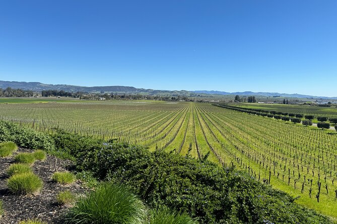 6 Hour Custom Napa or Sonoma Private Wine Tour - Why This Tour Works Well