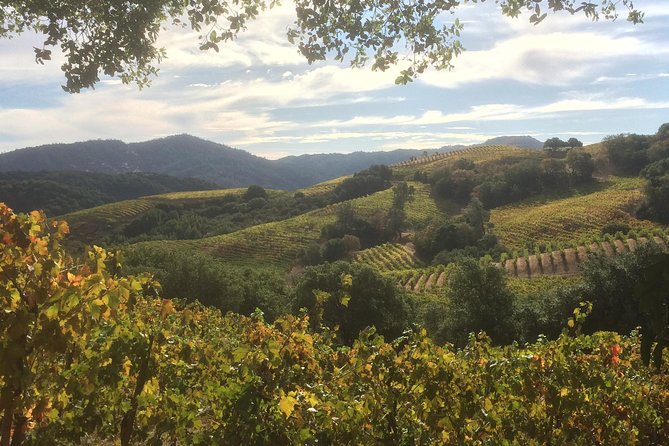 6-Hour Exclusive Wine Tour Experience: Up to 6 Guests - Cost & Value