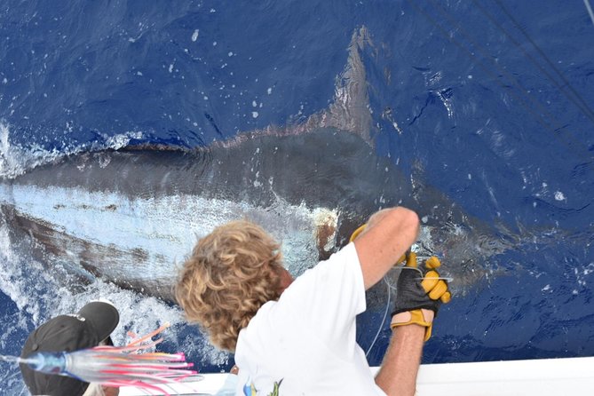 6 Hour Fishing Charter - Key Points