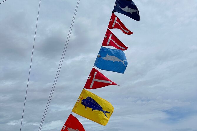 6 Hour Fishing Charter - Setting Out: What to Expect on Your Fishing Day
