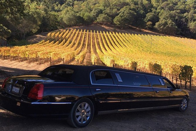 6-Hour Luxury Napa Wine Tasting Tour with Route Planning - Introduction