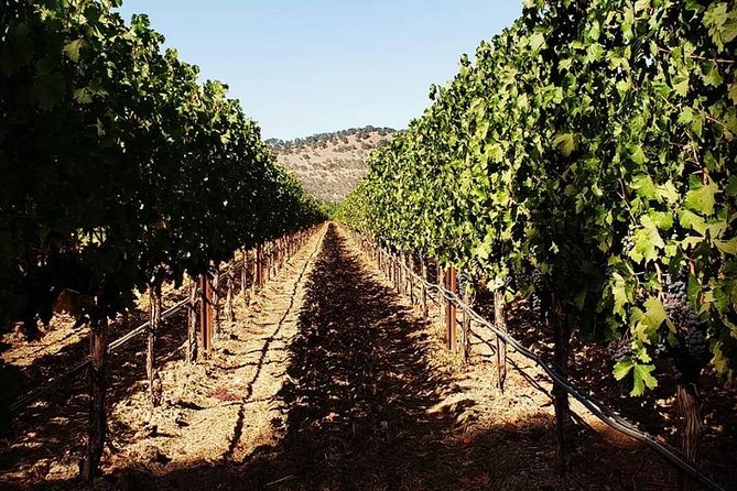 6-Hour Luxury Napa Wine Tasting Tour with Route Planning - Key Points