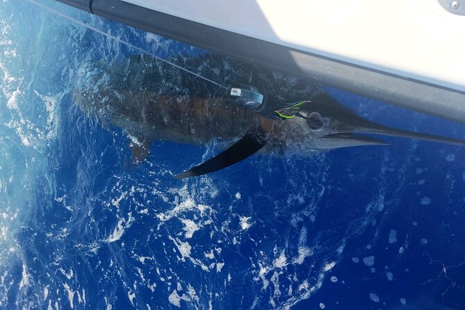 6 Hour Private Fishing Charter Kona, Hawaii - What Makes This Private Fishing Tour Stand Out?