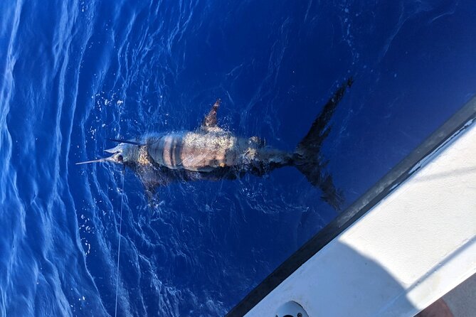 6 Hour Private Fishing Charter Kona, Hawaii - Food, Drinks, and Comfort