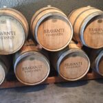 6-Hour Private Wine Country Tour of Napa Valley (up to 6 people) in Large SUV - Authentic Guest Experiences and Insights