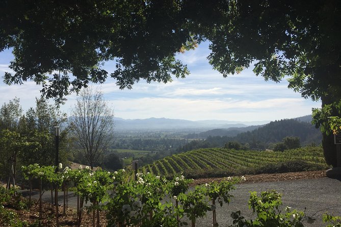 6-Hour Private Wine Country Tour of Napa Valley (up to 6 people) in Large SUV - Breakdown of the Cost and What You’re Paying For