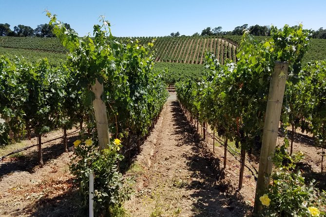 6 Hour Private Wine Country Tour (Sedan, SUV or Limo) - Detailed Itinerary Breakdown