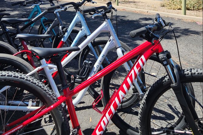 6-Hour Regular Bike Rental From Tucson - What to Expect From the Rental Experience