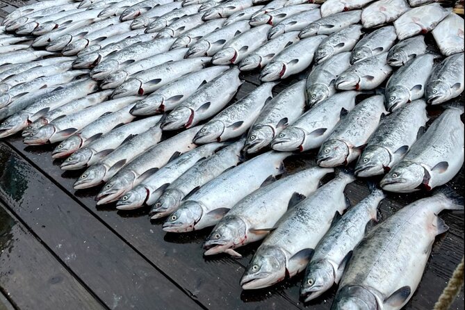 6 Hour Salmon Trip - Key Points