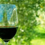 6 Hour Variety Wine Vineyard Tour in Napa Valley - The Itinerary in Detail