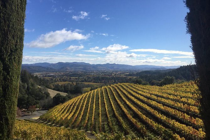 6-Hours Private Napa Wine Tour in a MKT sedan ( 2 Passengers) - The Review from Past Travelers