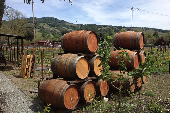 6-Hours Private Napa Wine Tour in a MKT sedan ( 2 Passengers) - Cost & Value: What You’re Paying For