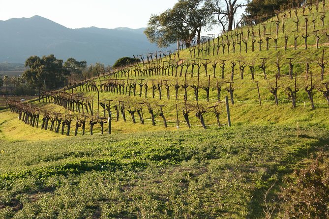 6-Hours Private Napa Wine Tour in a MKT sedan ( 2 Passengers) - The Sum Up