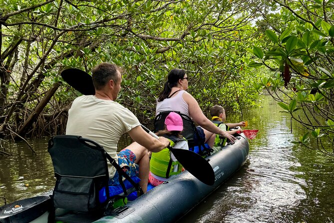 6-Hr Tropical Mangroves, Coastal River and Ocean Wildlife Watch - The Itinerary: What You Can Expect