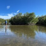 6-Hr Tropical Mangroves, Coastal River and Ocean Wildlife Watch - What Makes This Tour Special?