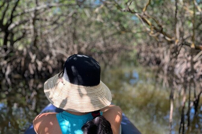 6-Hr Tropical Mangroves, Coastal River and Ocean Wildlife Watch - FAQ