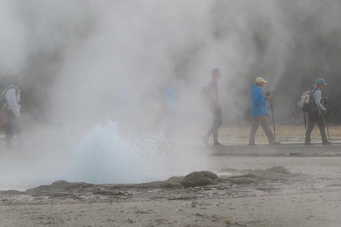 6-Mile Geyser Hiking Tour in Yellowstone with Lunch - Value for Money