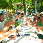 6 to 11 Guests Fredericksburg Private Van 5 hour Wine Tour - Detailed Look at the Itinerary