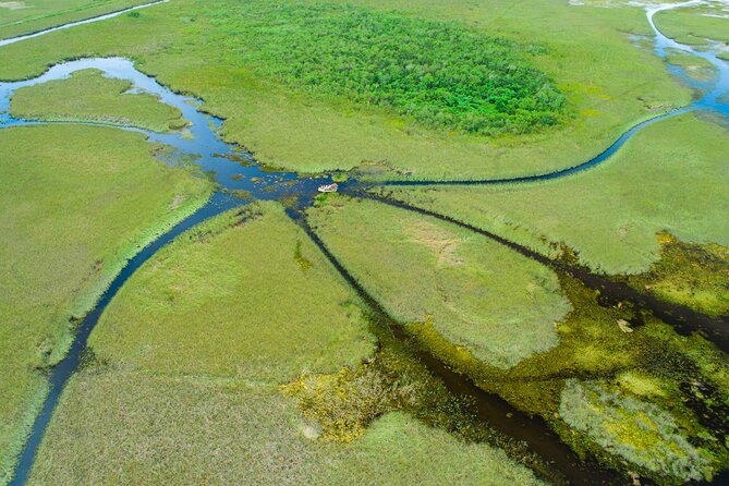 60 min. Everglades Airboat ride & pick-up ,small group +pro guide - The Experience Breakdown: What to Expect