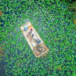 60 min. Everglades Airboat ride & pick-up ,small group +pro guide - Transportation, Group Size, and Timing