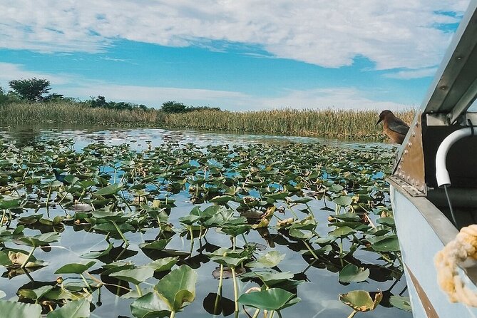 60 min. Everglades Airboat ride & pick-up ,small group +pro guide - FAQ