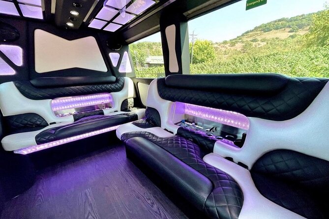 6hr | 7 Passenger Mercedes Sprinter Limo Van Private Tour - What to Expect from the Experience