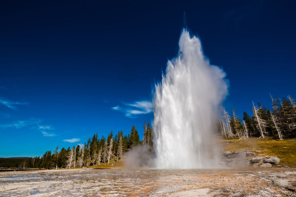 7-Day Yellowstone National Park Rocky Mountain Explorer - Detailed Breakdown of the Experience