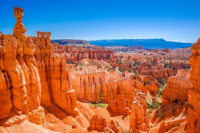 7-Day: Zion, Bryce, Monument Valley, Arches and Grand Canyon Tour - The Sum Up: Who Is This Tour Perfect For?