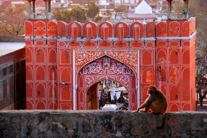 7 Days India Tour from New York including Visa and flight - Frequently Asked Questions