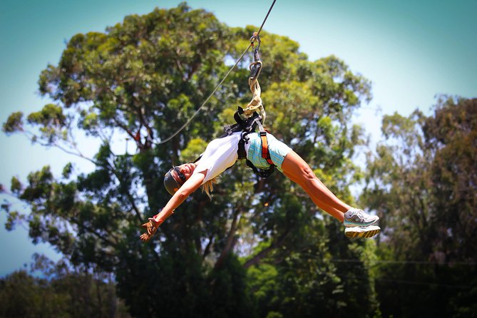 7-Line Maui Zipline on the North Shore - The Scenery and Wildlife