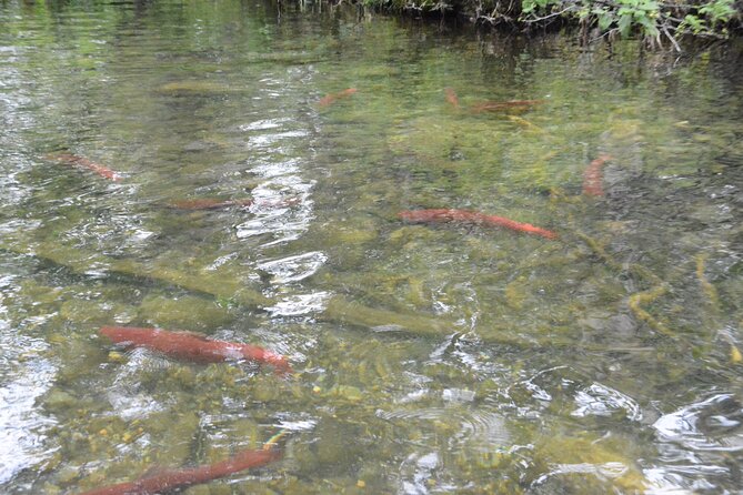 7 Mile Canoe Trail Tour - The Itinerary in Detail