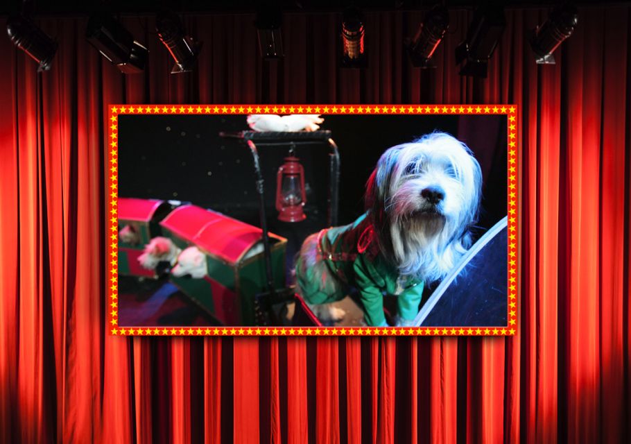 75-Minute Popovich Comedy Pet Theater in Las Vegas - A Fun and Whimsical Family Show in Las Vegas