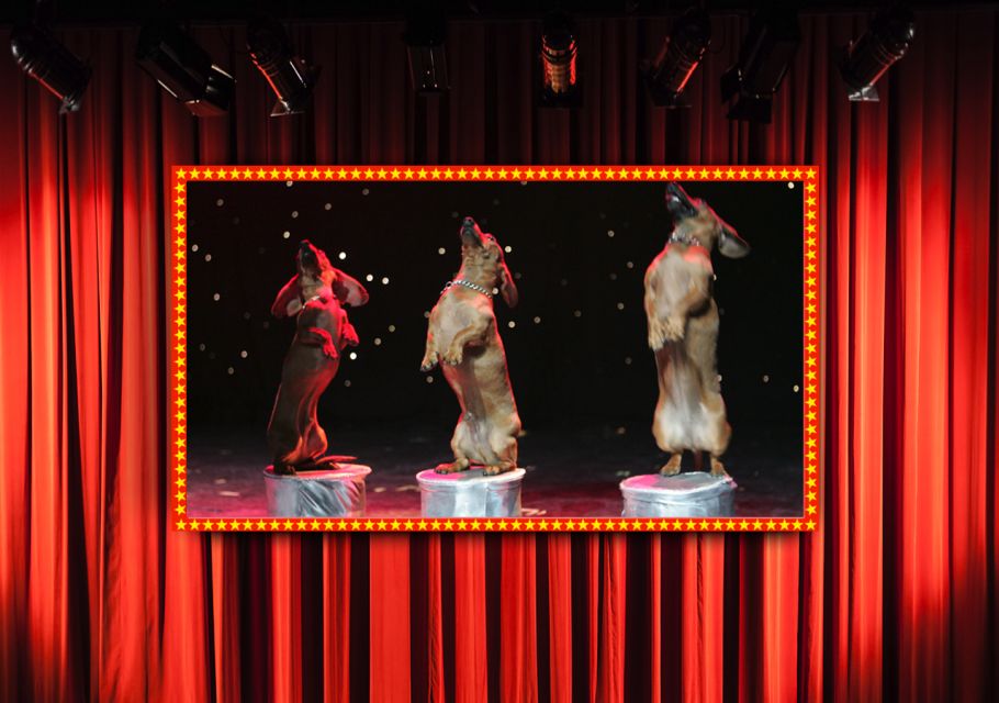 75-Minute Popovich Comedy Pet Theater in Las Vegas - The Sum Up