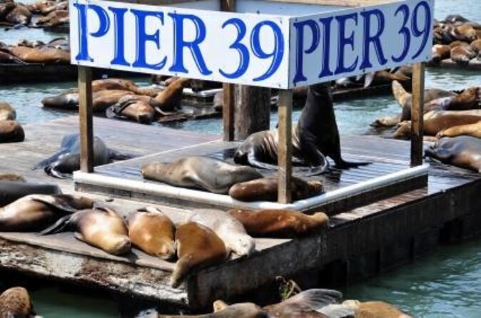 7D DarkRide Admission at Pier 39 - Key Points